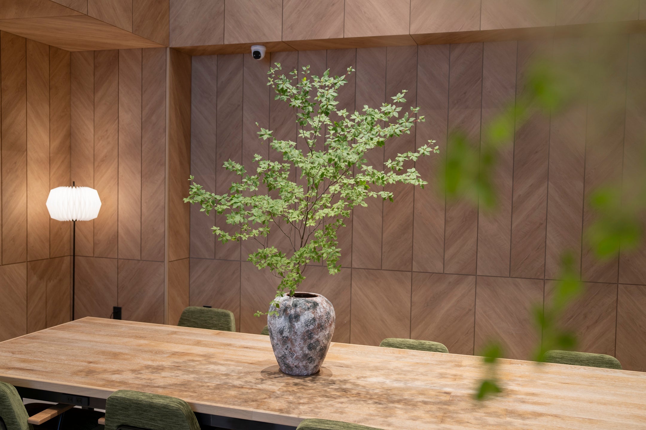 Web掲載『News You Use』 – TRINUS.co.jp